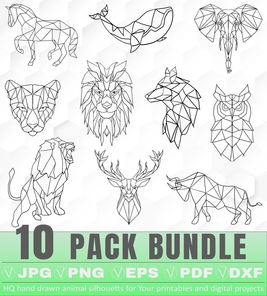 Bundle of 10 Animal Line Art Coloring Png; Jpg; Eps; Pdf; Dxf (lion ...