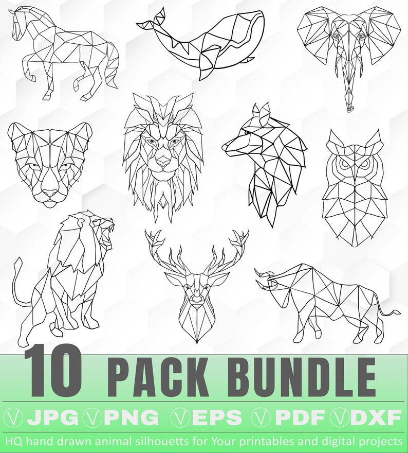 Bundle of 10 Animal Line Art Coloring Png; Jpg; Eps; Pdf; Dxf (lion ...
