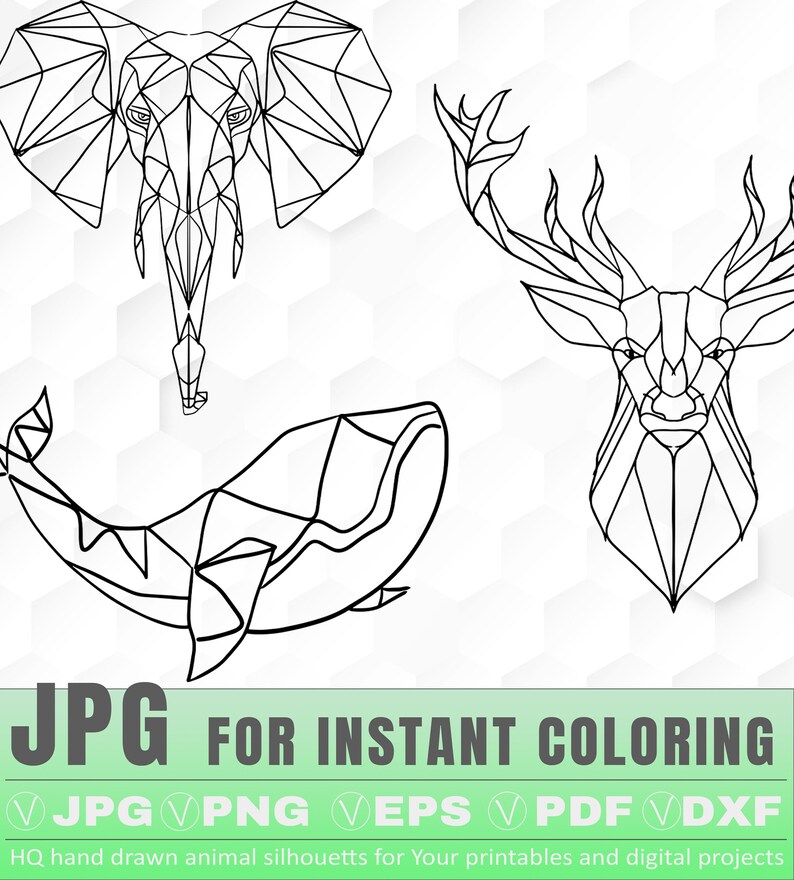 Bundle of 10 Animal Line Art Coloring Png; Jpg; Eps; Pdf; Dxf (lion ...