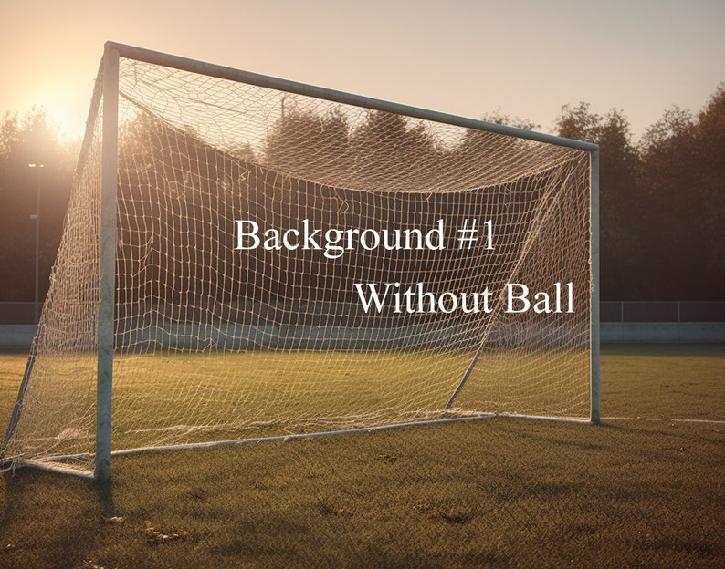 Set of 4 Digital Soccer Goal Backgrounds for Photography.two Backdrops ...