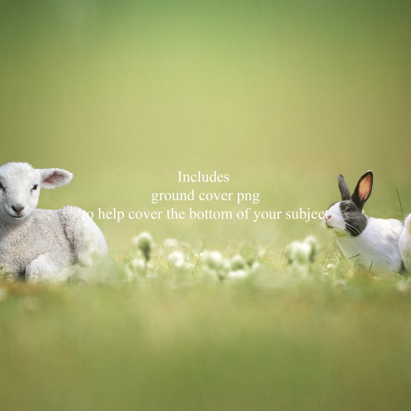 Easter Lamb Decor - Etsy