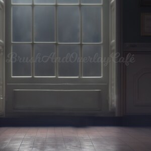 Window Digital Background/backdrop for Photography/gift for Girl/stage ...