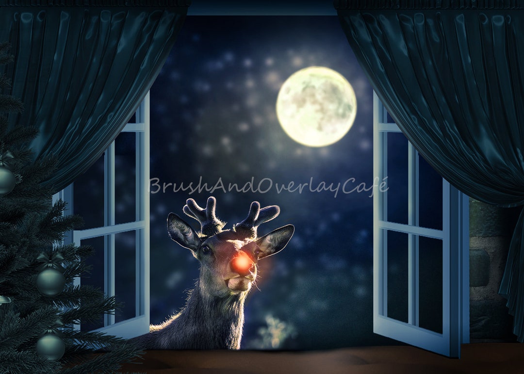 Rudolph the Red Nosed Reindeer in the Window Christmas Digital Backdrop ...