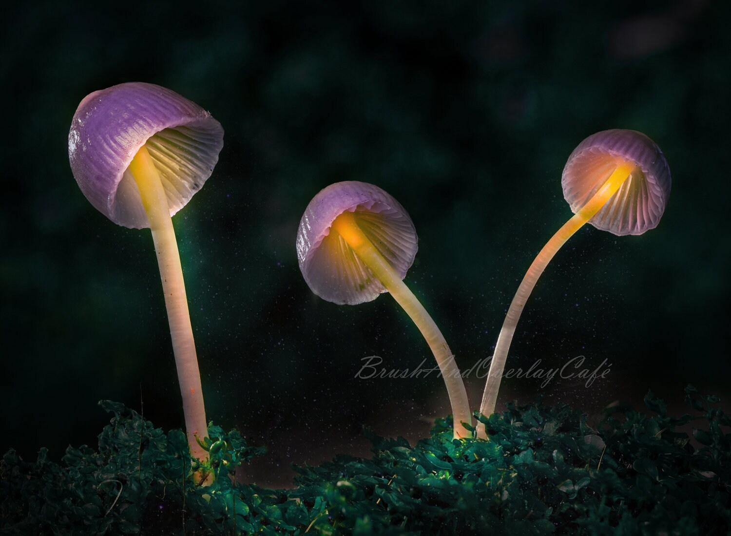 Enchanted Fairy Mushroom Garden Digital Backdrop/digital Background for ...