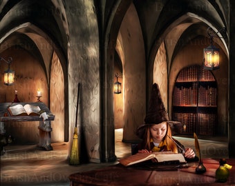 Wizard Library Backdrop - Etsy