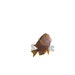 PNG Goldfish, Saltwater Fish, and Fresh Water Fish Overlays for ...