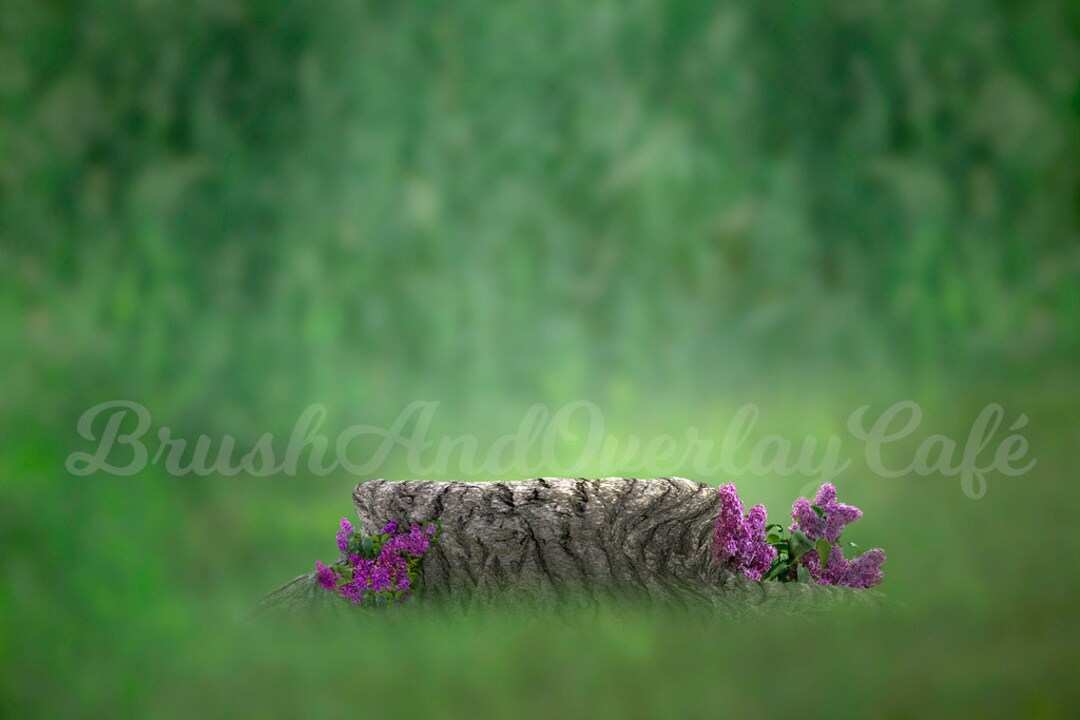 Spring Digital Background for Photography/easter Backdrop for Photoshop ...