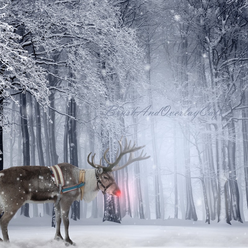 Reindeer Overlay - Etsy