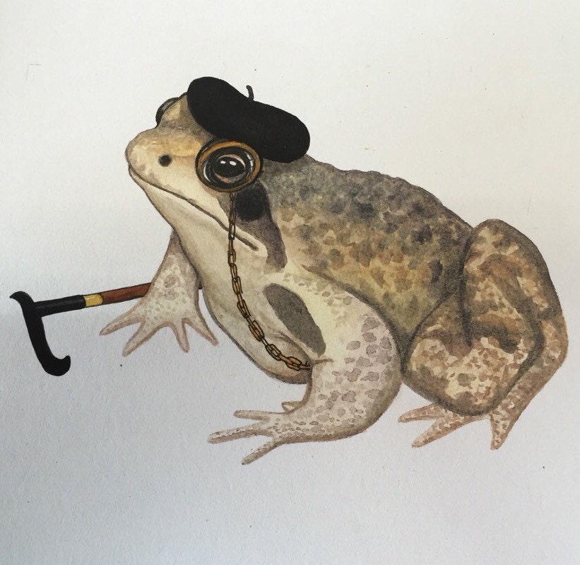 The Old Frog Illustration by Angela Djurfelter - Etsy Israel