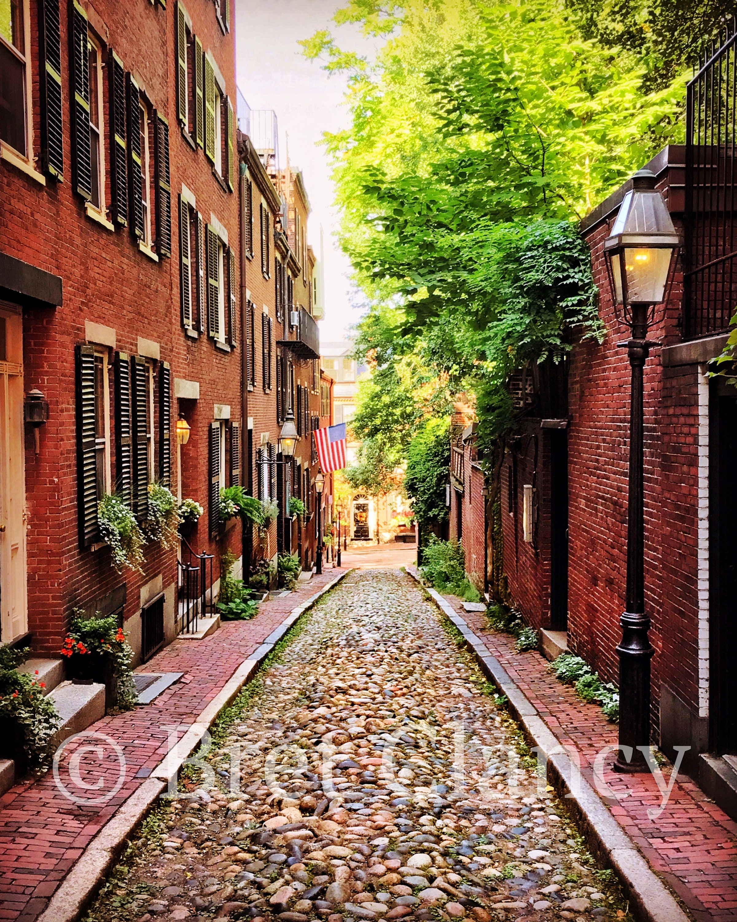 Cobblestone Street