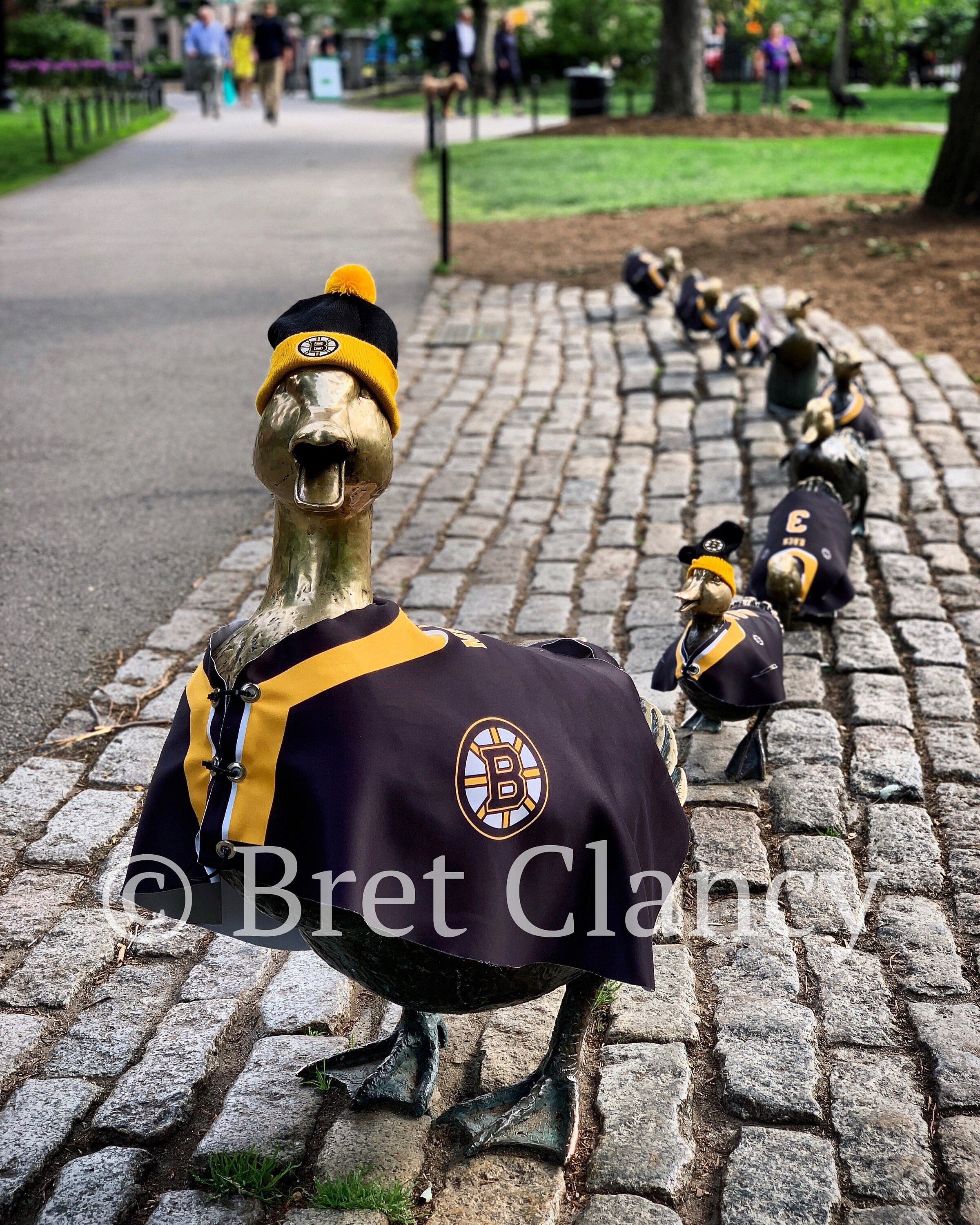 Park Street Boston Ducks