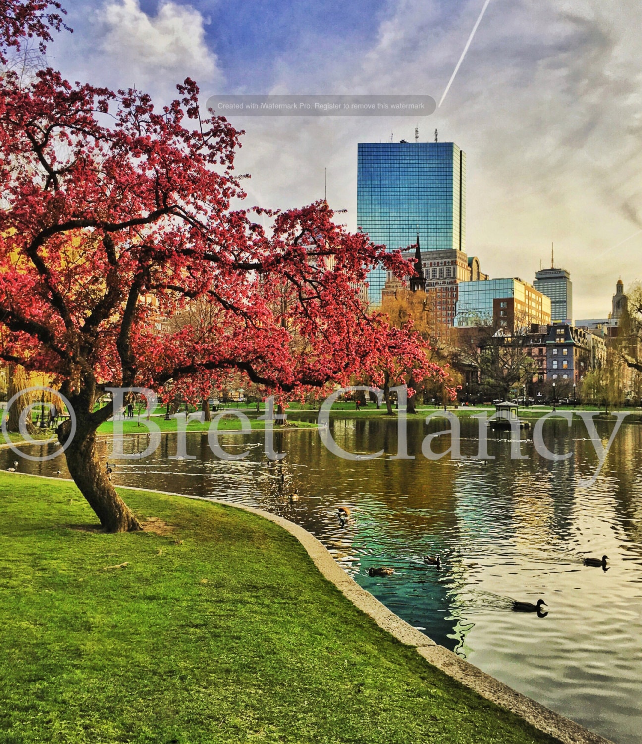 Boston Public Garden Spring