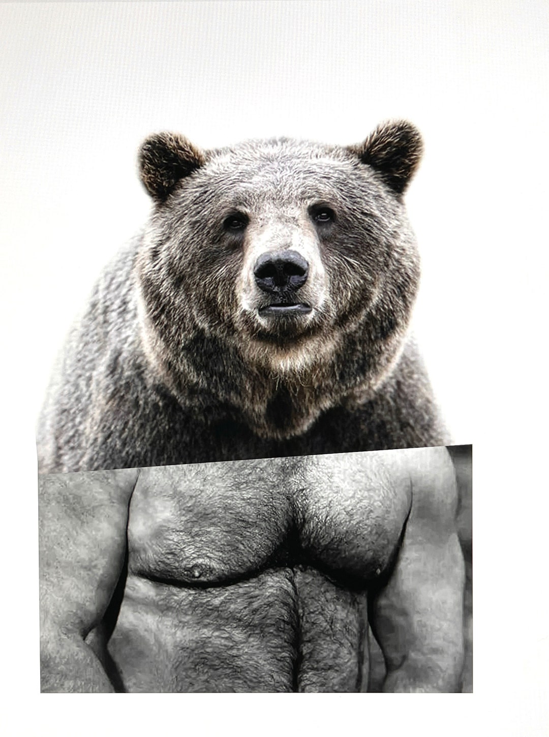 Bear Chest - Hairy Bare Loose Print Photography Collage - Etsy