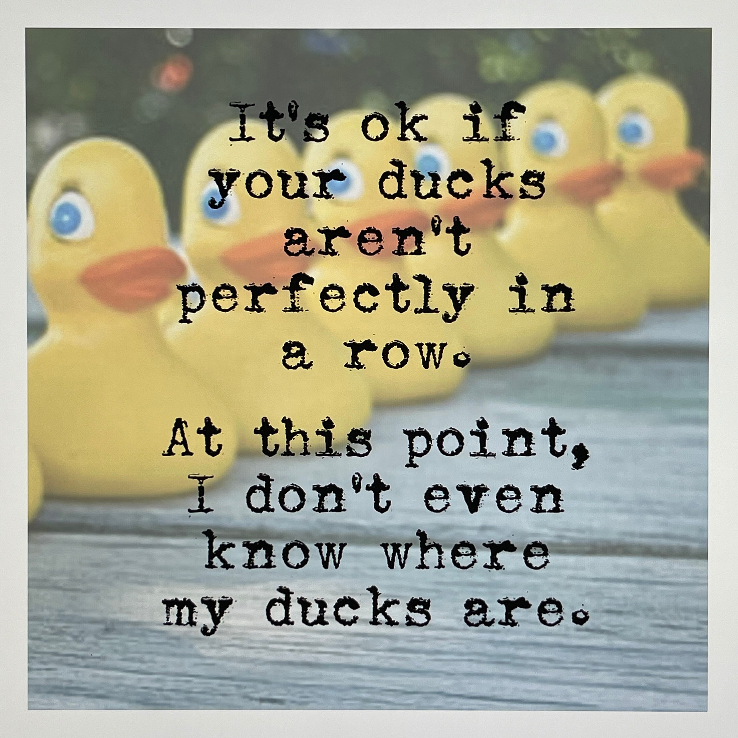Ducks In A Row Quotes