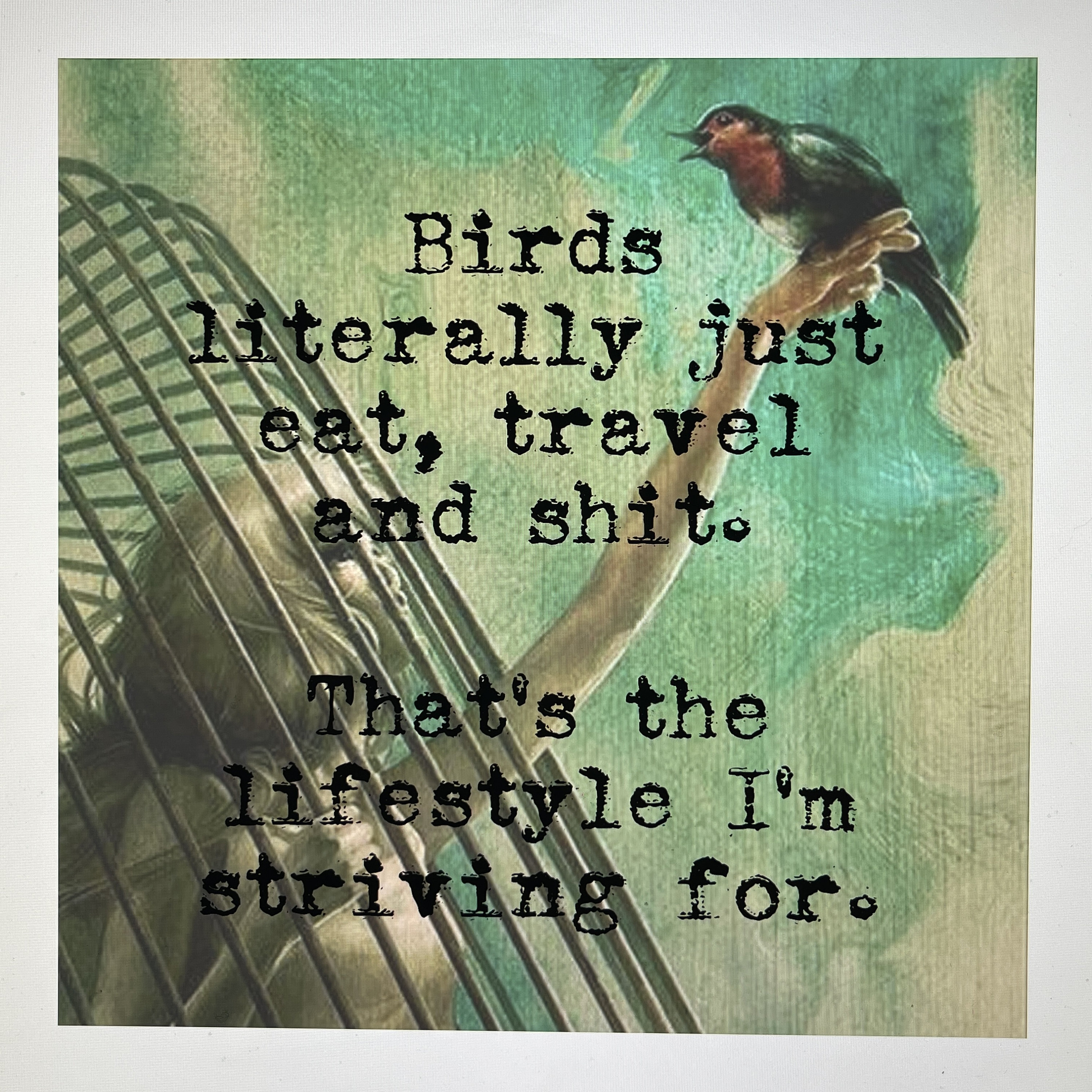 Birds Literally Shit - Art Print, Quote Print, Quote Sign, Wall Art ...