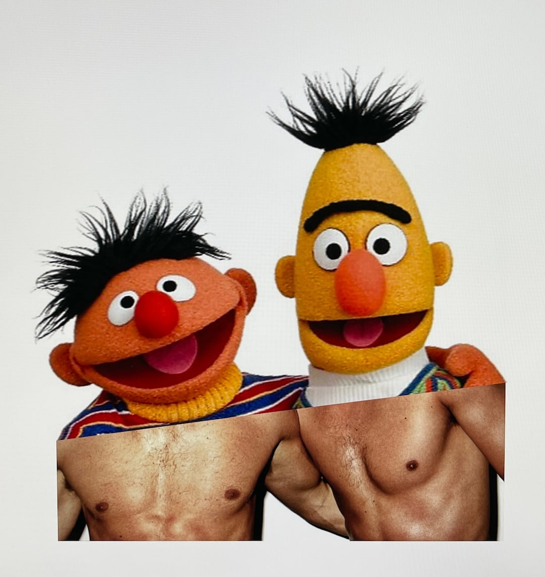 Ernie & Bert - Pop Art Humorous Fun Wall Art Collage - Etsy