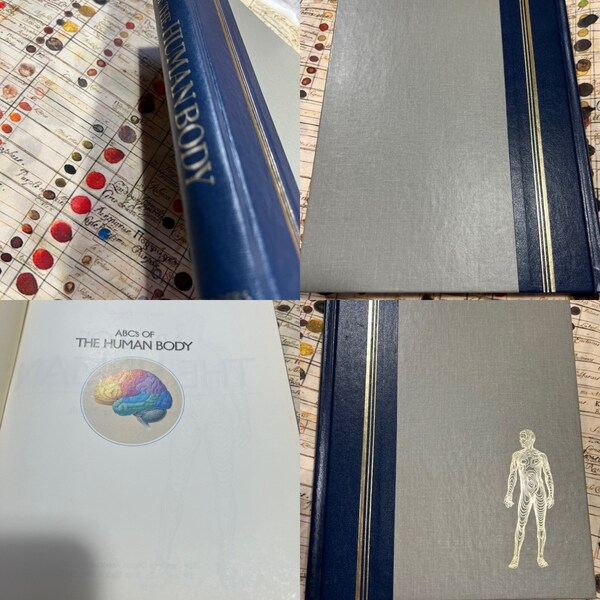 Human Body Book - Etsy