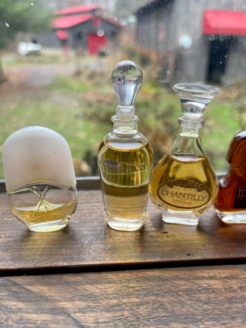 Vintage Fragrance Lot Miniature Perfume Bottles Collectible - Etsy