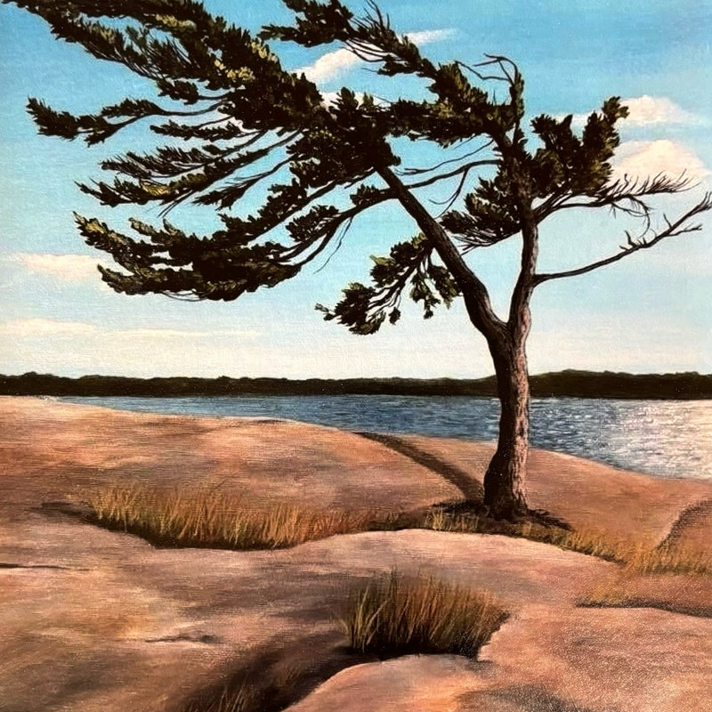 Windswept Tree - Etsy