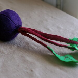 DIY PDF Pattern Download - Realistic Waldorf Inspired Felt Beet Play ...