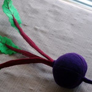 DIY PDF Pattern Download - Realistic Waldorf Inspired Felt Beet Play ...