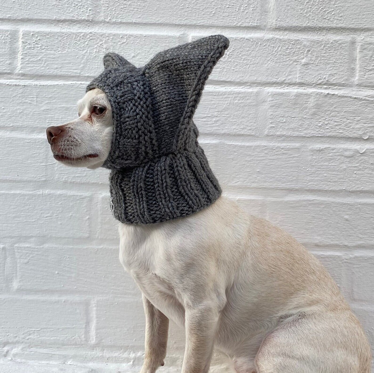 Bat Ears SMALL Dog Hat Winter Snood Hood, Green Alien Dog Balaclava Ear ...