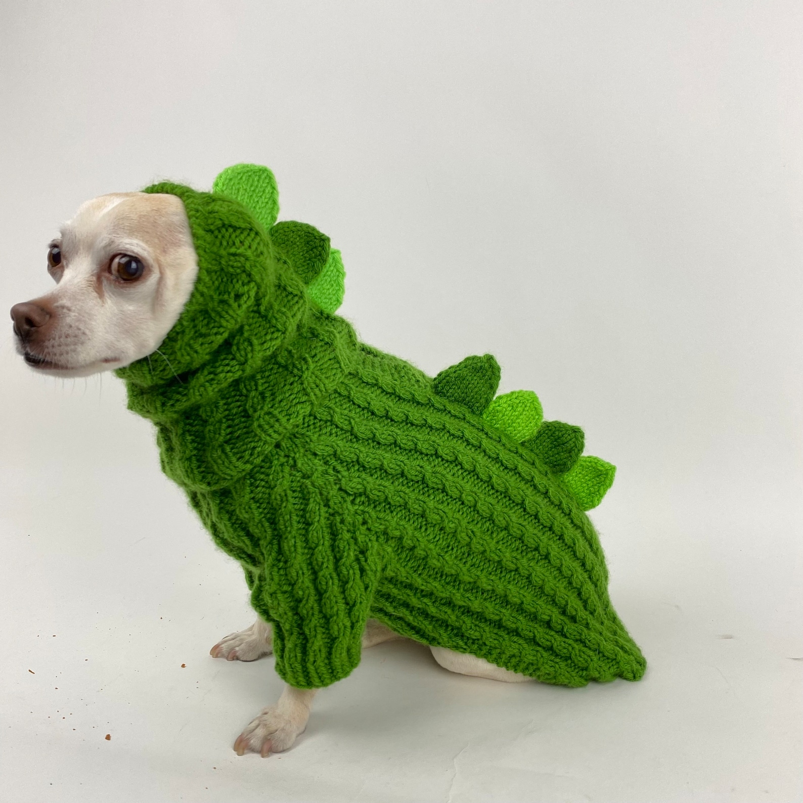 Dinosaur Dragon Dog Sweater Leash Hole Cable Ribbed Mini Dachshund ...