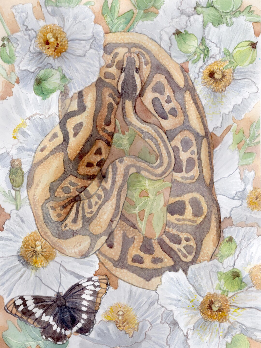 Python in Bloom II Art Prints 8.5 X 11 - Etsy