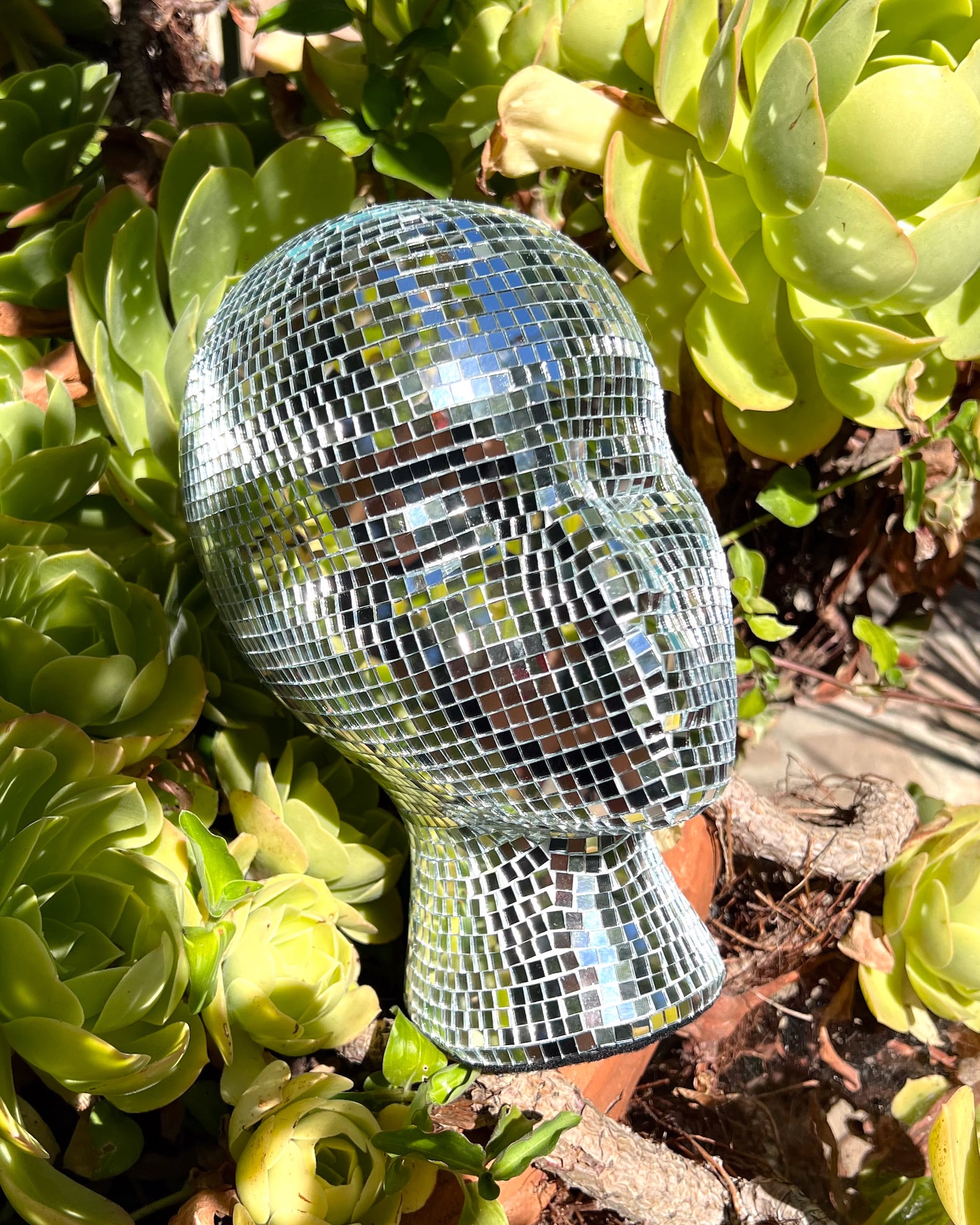 Disco Head Mirrored Mosaic Mannequin Head Disco Ball - Etsy