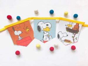 Peanuts Photo Booth Props - Etsy Canada