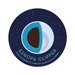 Europa Clipper Mission Sticker: Jupiter Moon Vinyl Decal - Etsy