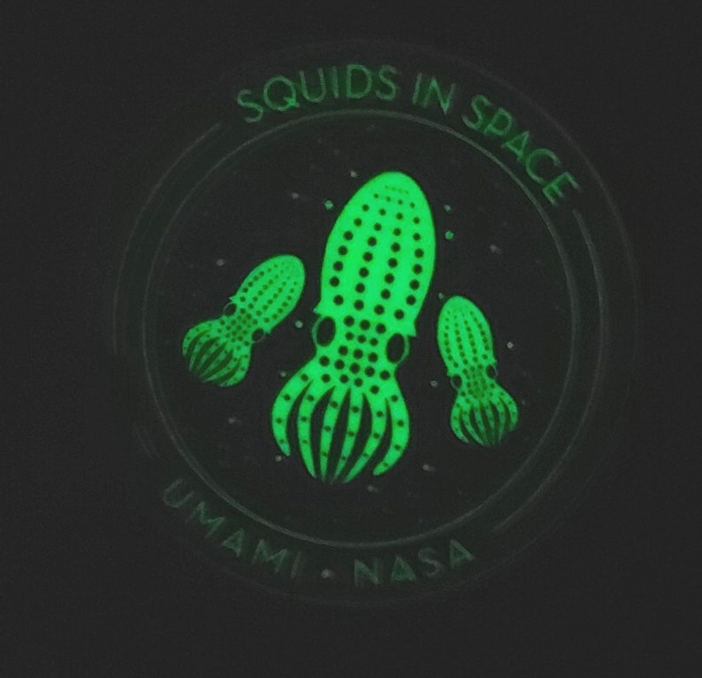 Umami Squids in Space, Vinyl Sticker - Etsy