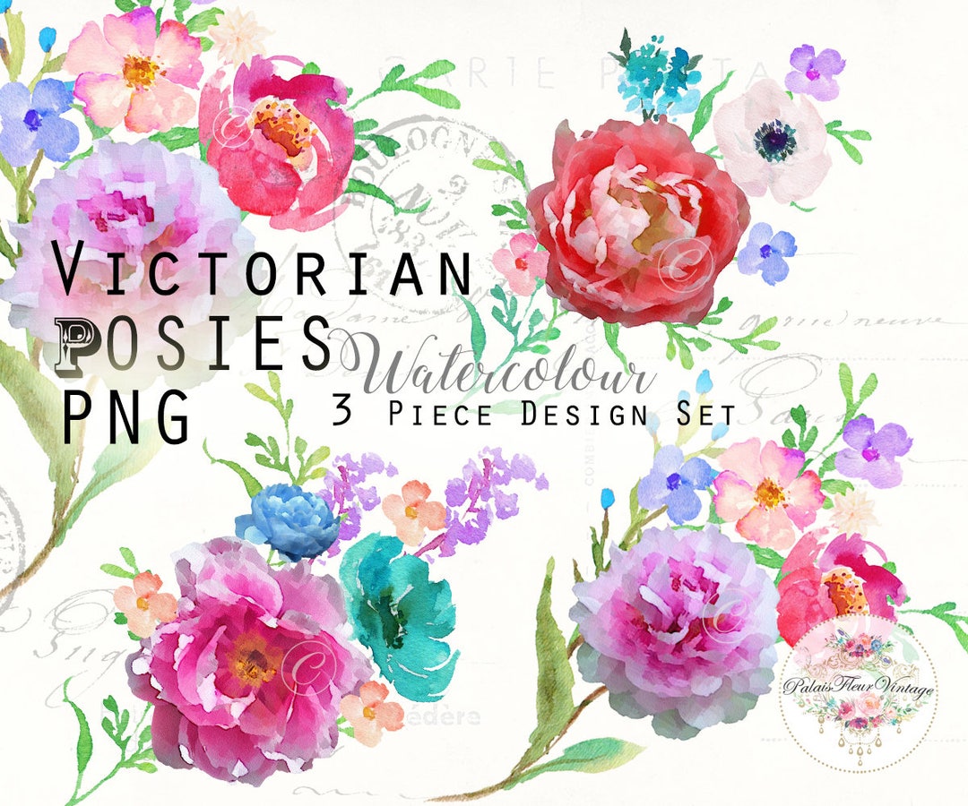 Watercolor Roses PNG Floral Clipart | Peonies, Flowers, Posies ...