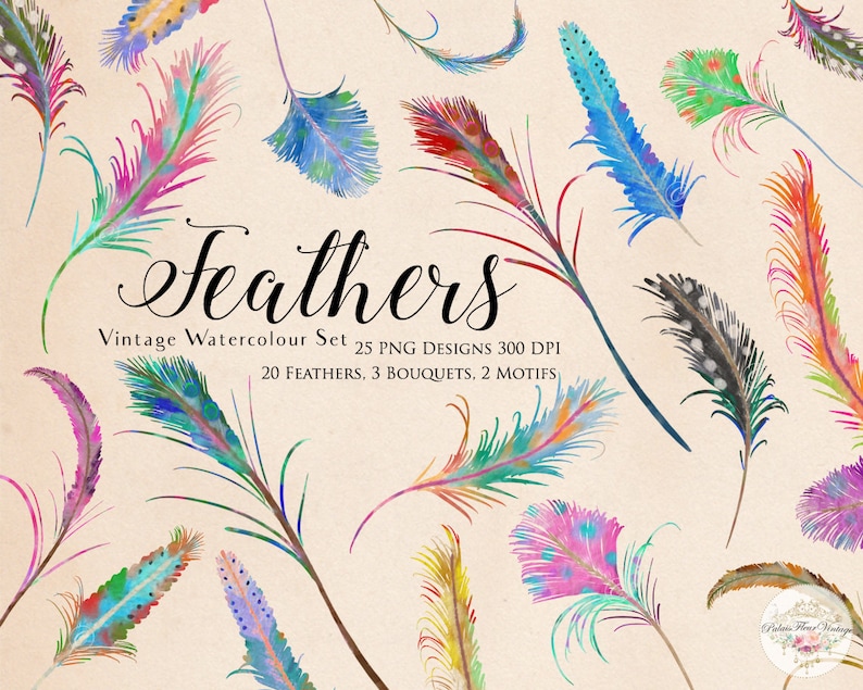 Watercolor Rainbow Feathers PNG Clipart - Hand Painted Digital Clip Art ...