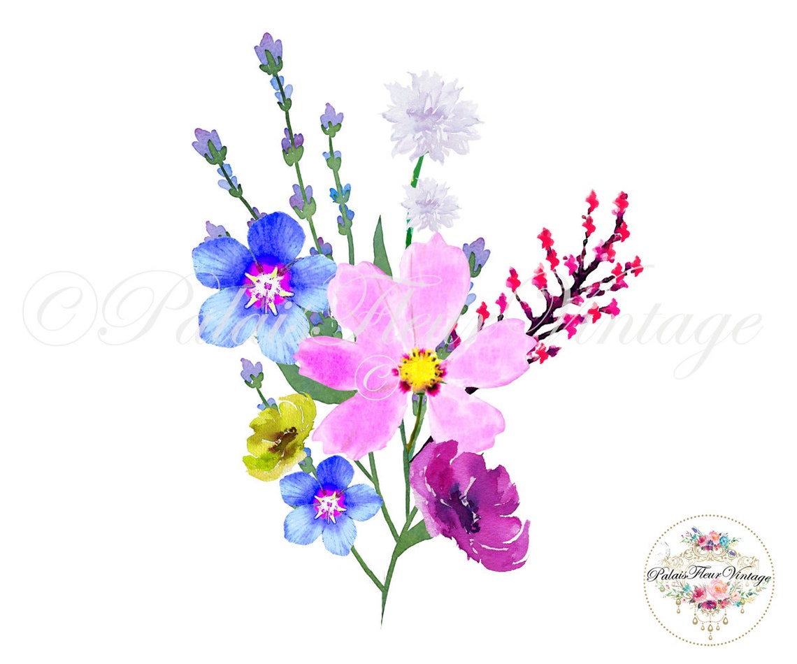 Watercolor PNG Instant Clipart Roses: Peonies, Roses, Flowers, Posies ...