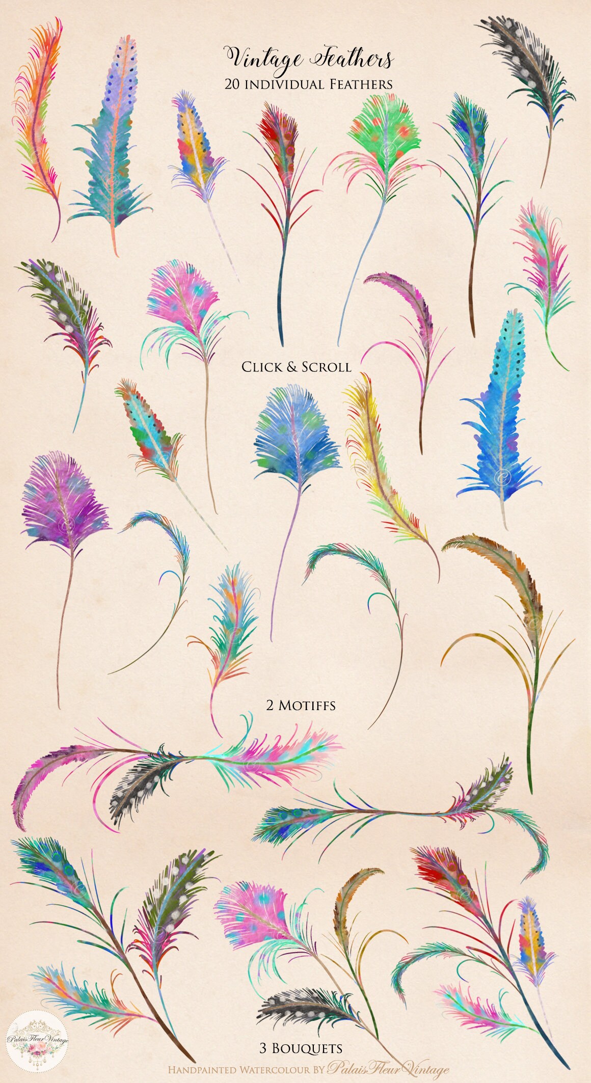 Watercolor Rainbow Feathers PNG Clipart - Hand Painted Digital Clip Art ...