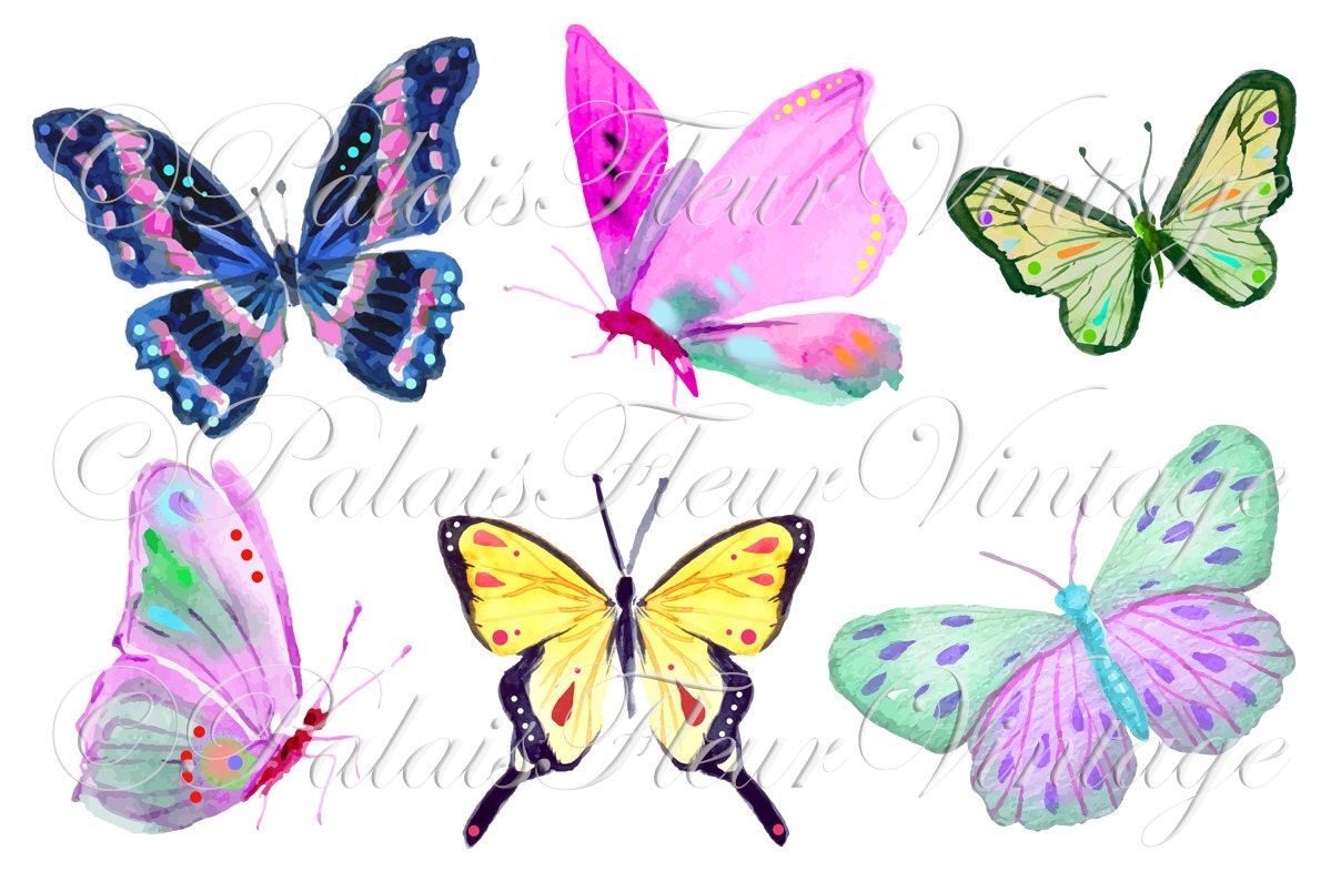 Floral Clip Art Hand Painted Watercolor Clip Art, Rainbow Butterflies ...