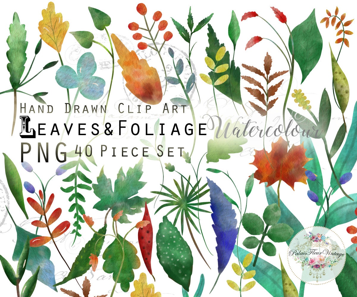 WATERCOLOR LEAVES Floral Clip Art Hand Painted Watercolour Clipart ...