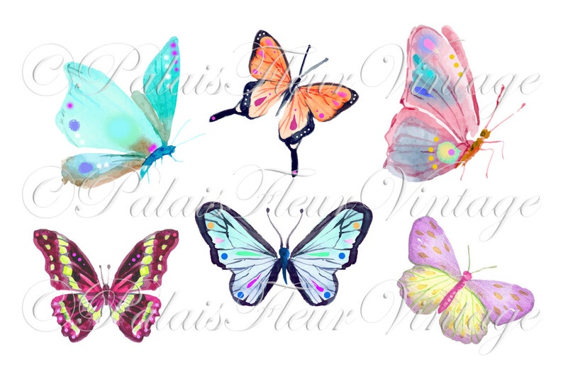 Floral Clip Art Hand Painted Watercolor Clip Art, Rainbow Butterflies ...