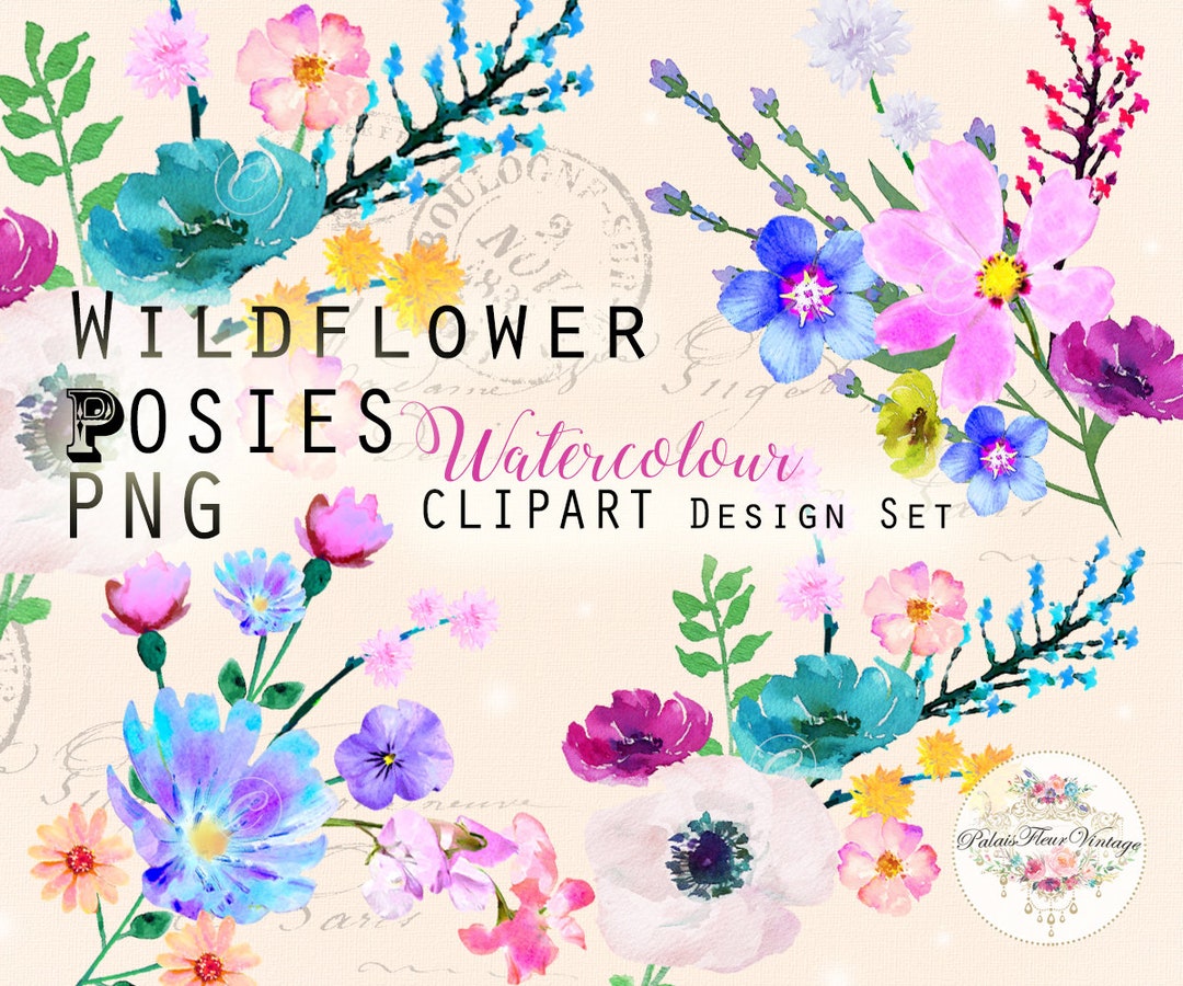 Watercolor PNG Instant Clipart Roses: Peonies, Roses, Flowers, Posies ...