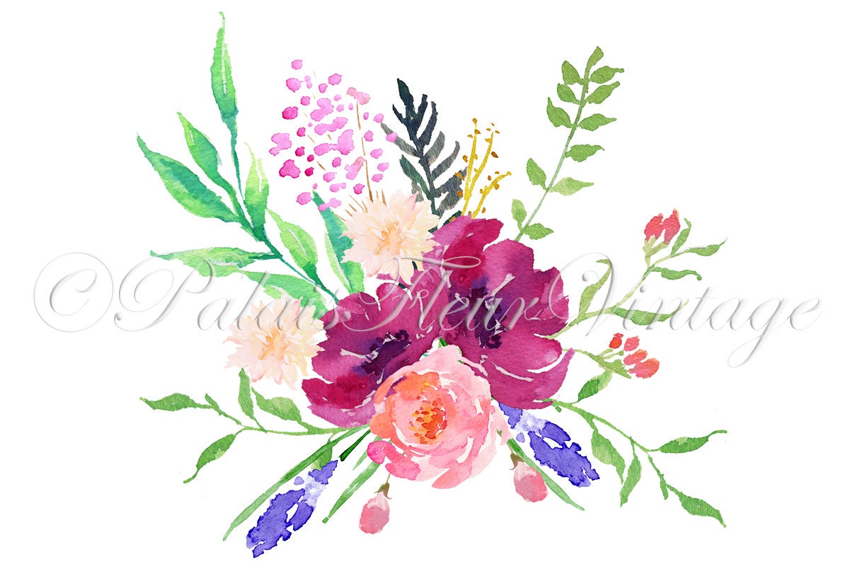 Floral Clip Art Hand Painted Watercolor Clip Art, French Wildflower ...