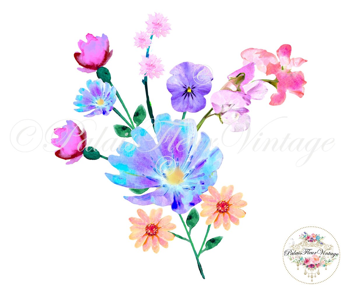 Watercolor PNG Instant Clipart Roses: Peonies, Roses, Flowers, Posies ...