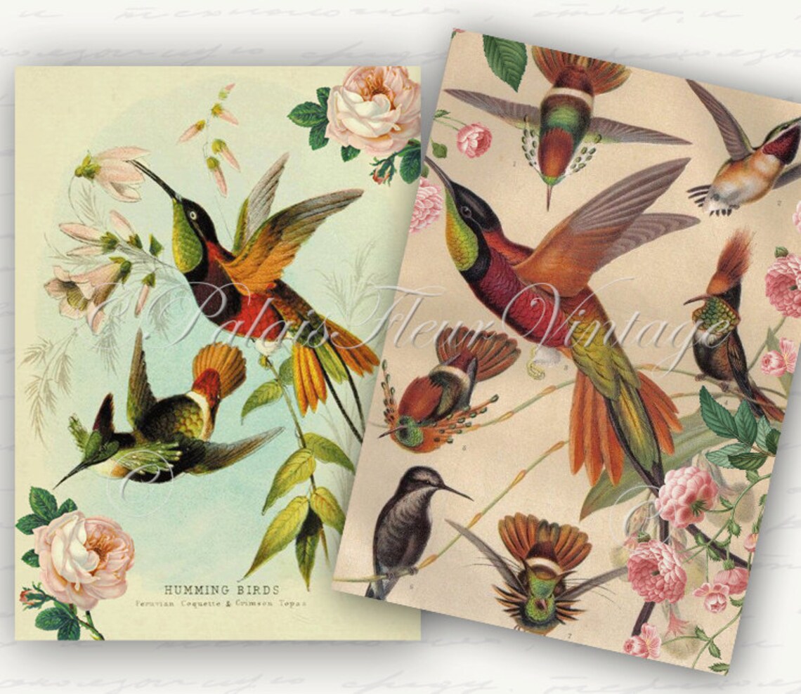 A4 Antique Bird Wallpaper Paper 6 PACK Instant Download Vintage Floral ...