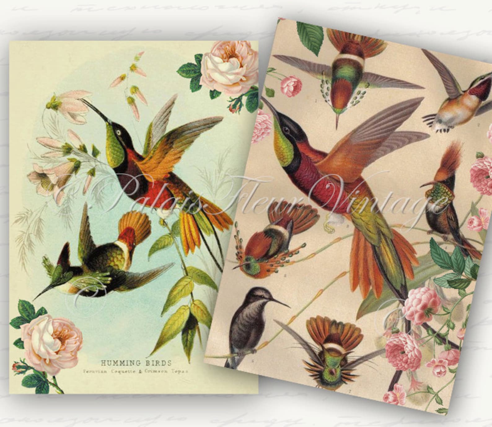 A4 Antique Bird Wallpaper Paper 6 PACK Instant Download Vintage Floral ...