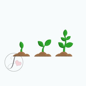 Plant Growing Stages Embroidery Design (machine Embroidery) - Etsy