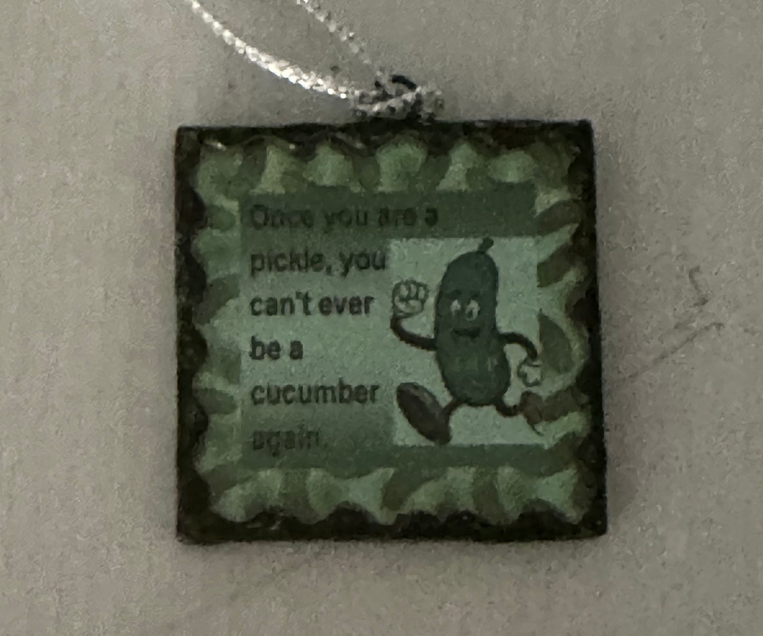 AA "once You Are Pickle..." & You Are Not Alone Anymore! Rear View ...