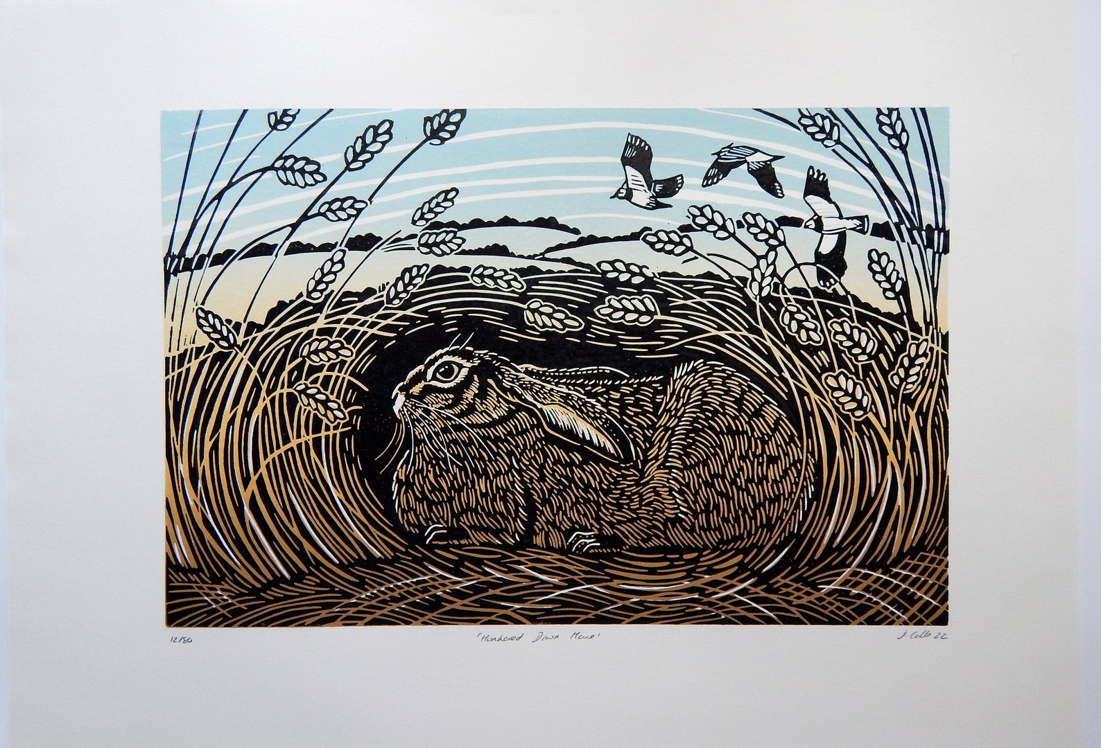 Hunkered Down Hare Limited Edition Lino Print - Etsy