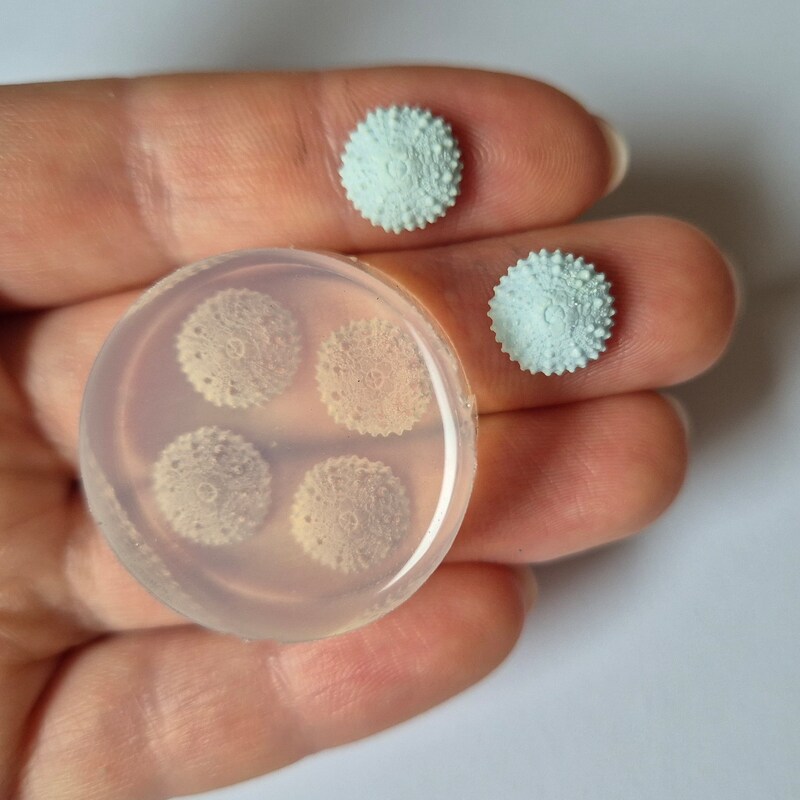 Shell Mold - Etsy