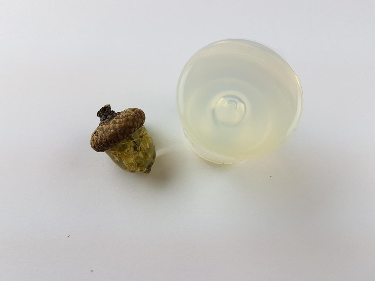 Clear Silicone Acorn Mold 18 X 16 Mm for Resin Jewelry and - Etsy