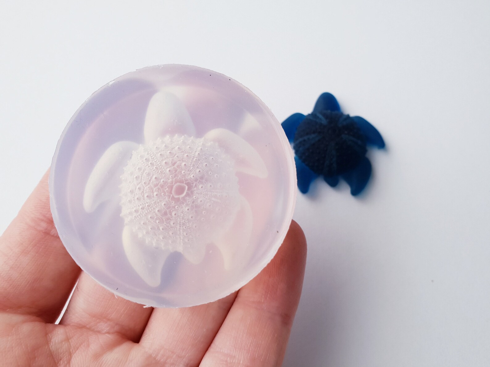 41 X 39 Mm Urchin Shell Turtle Silicone Mould for Resin - Etsy UK